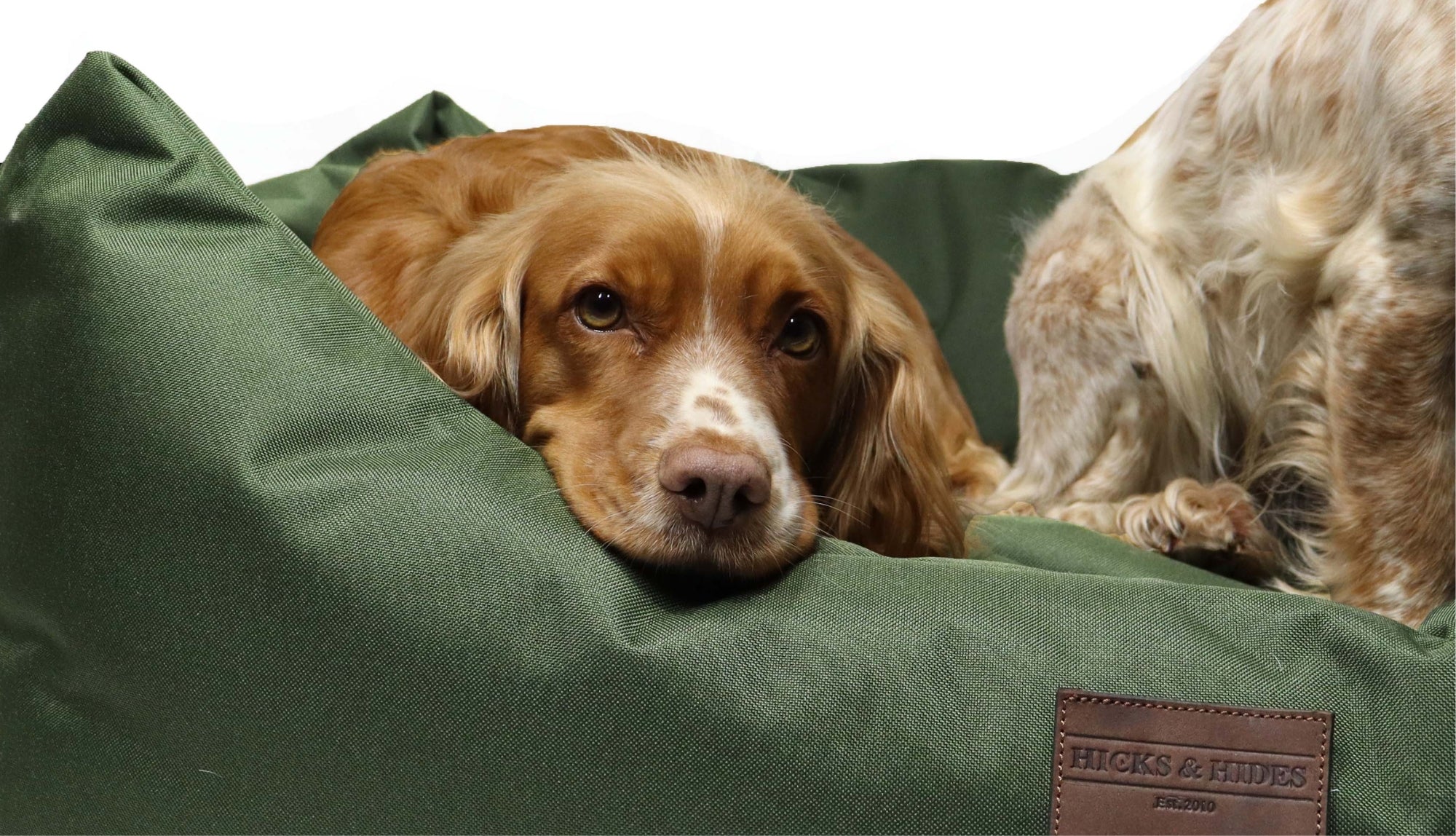 DOG BEDS – Hicks and Hides